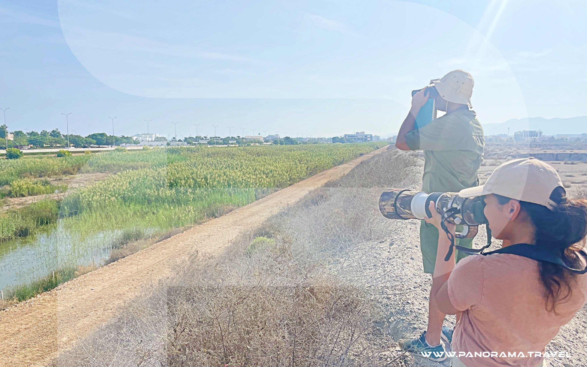 OMAN BIRDWATCHING TOUR PACKAGES | Led By Experts